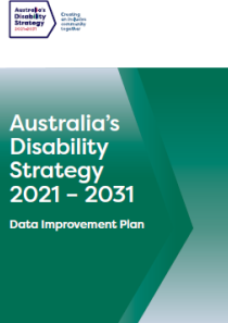 Data Improvement Plan | Disability Gateway